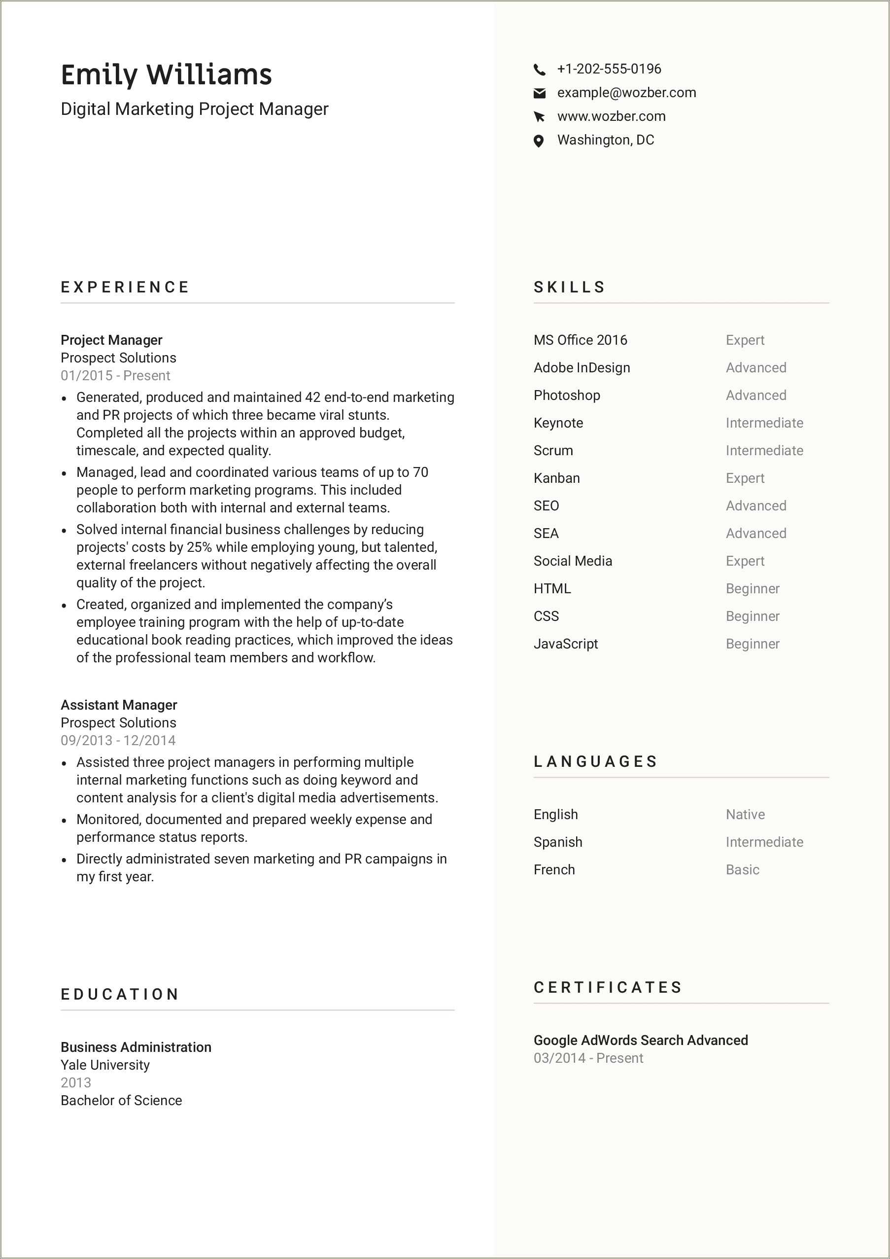 Assistant Marketing Manager Resume Examples Resume Example Gallery assistant-marketing-manager-resume-examples-resume-example-gallery