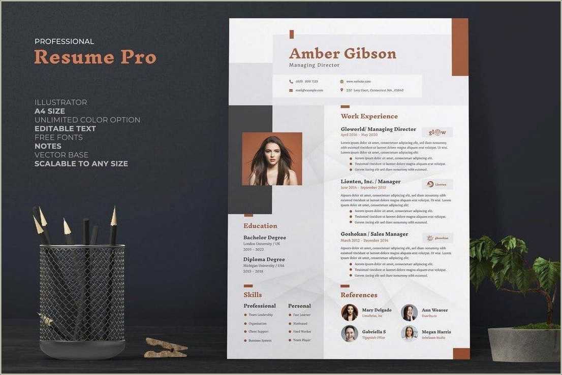 Resume Format 2020 Free Download Resume Example Gallery resume-format-2020-free-download-resume-example-gallery