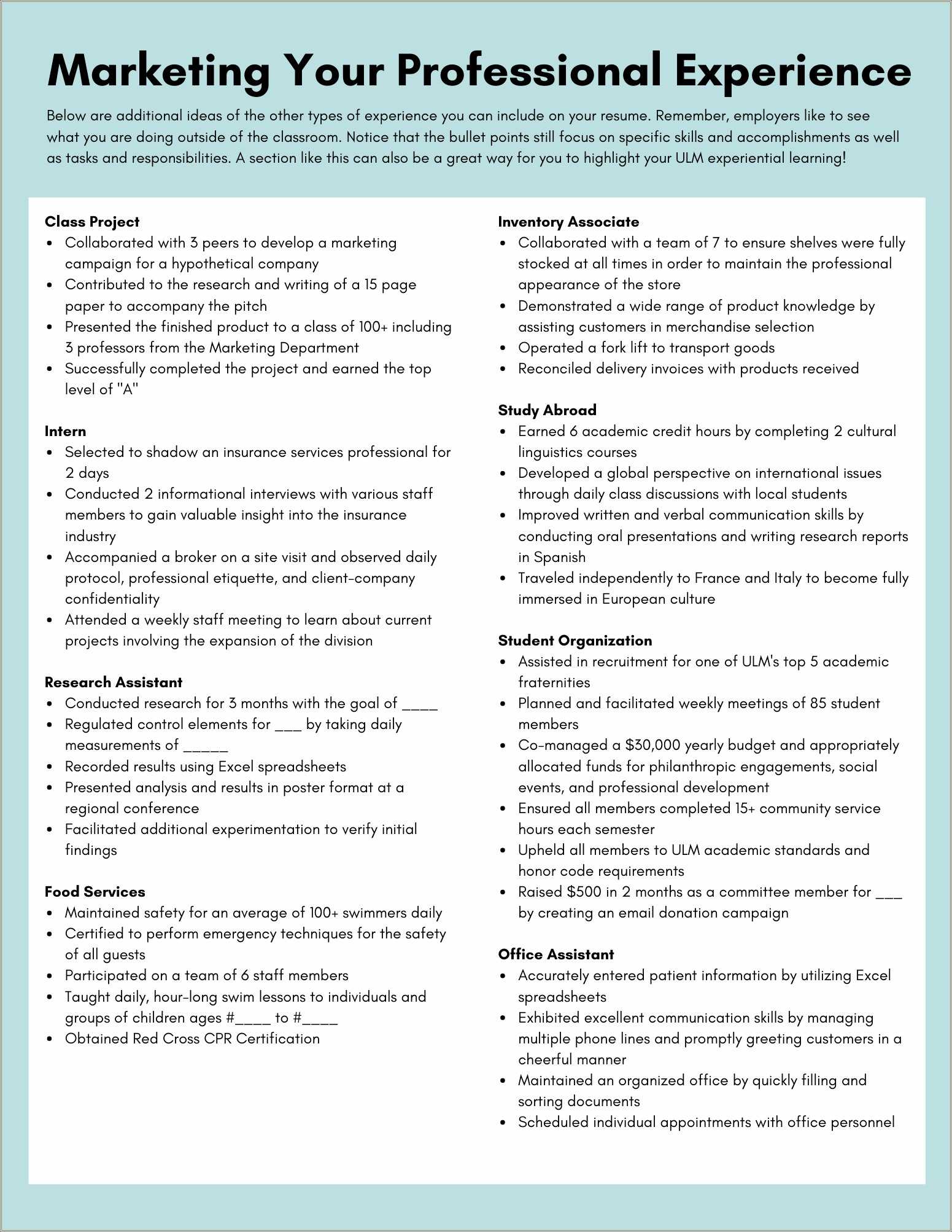 Resume Layout Skill Education Experience Resume Example Gallery resume-layout-skill-education-experience-resume-example-gallery