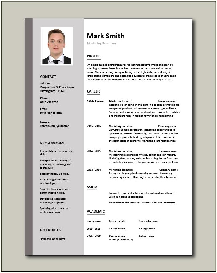 Executive Leader Resume Profile Summary For Operations Resume Example 