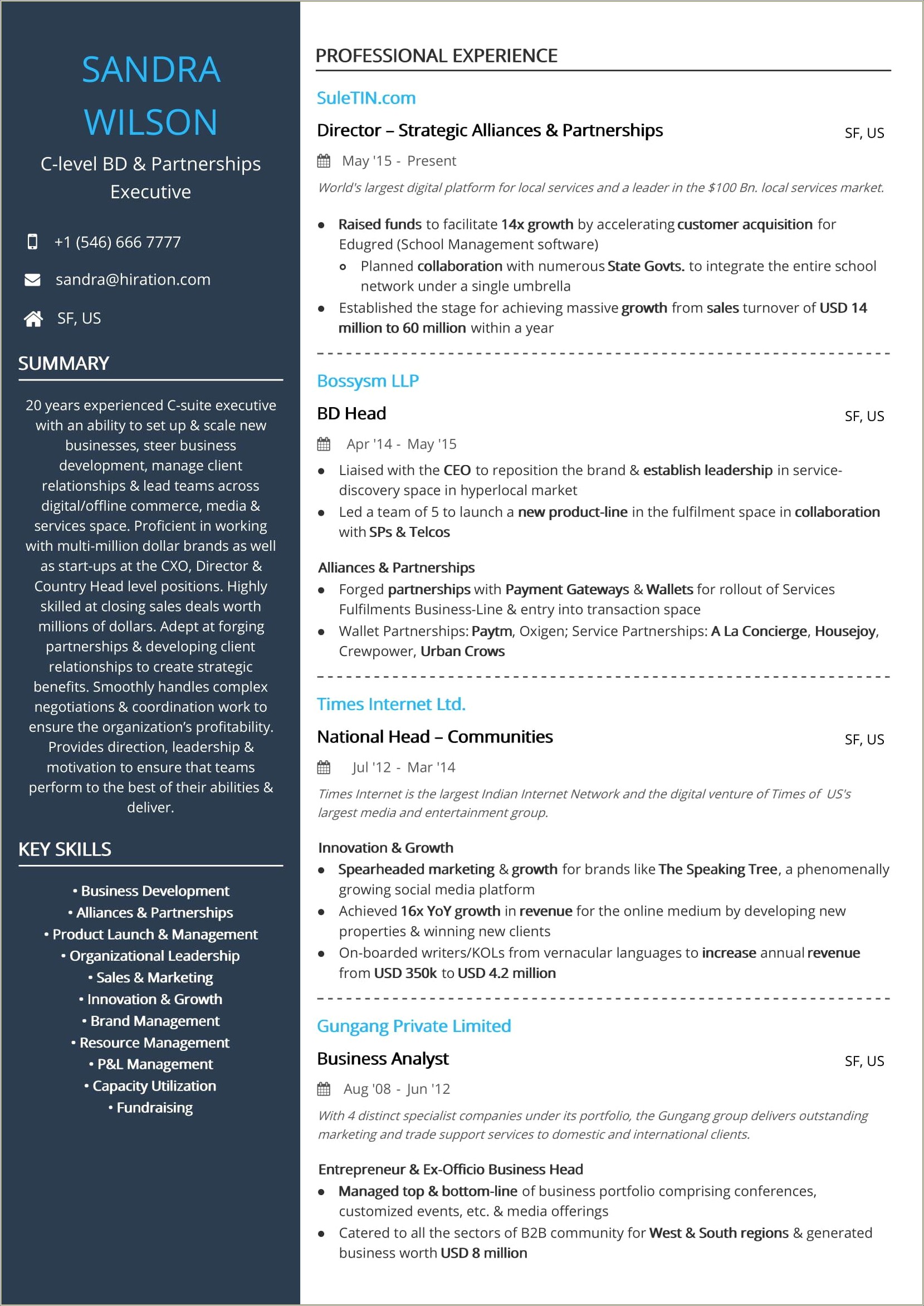 Resume Sample For Business Head - Resume Example Gallery