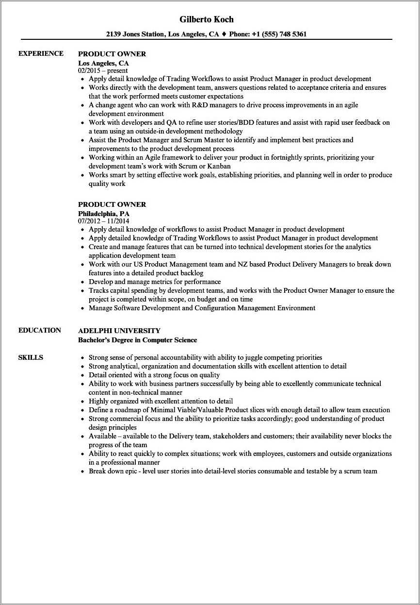 Senior Product Owner Sample Resume Resume Example Gallery