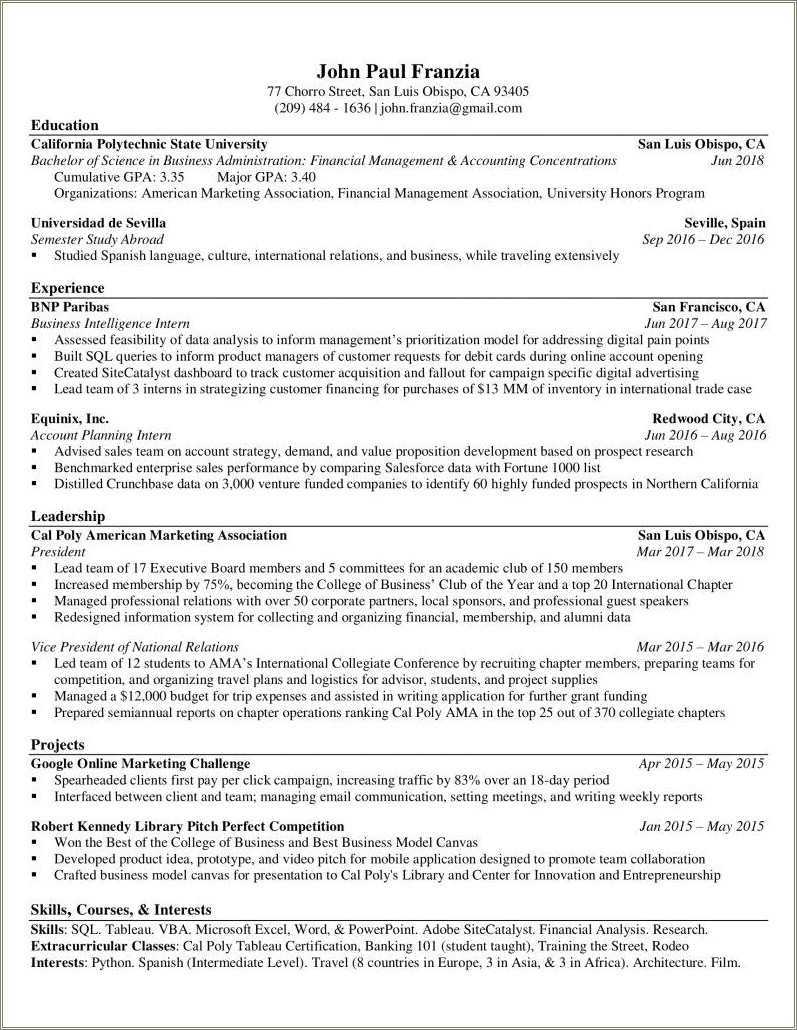 Resume Summary Examples International Student Resume Example Gallery
