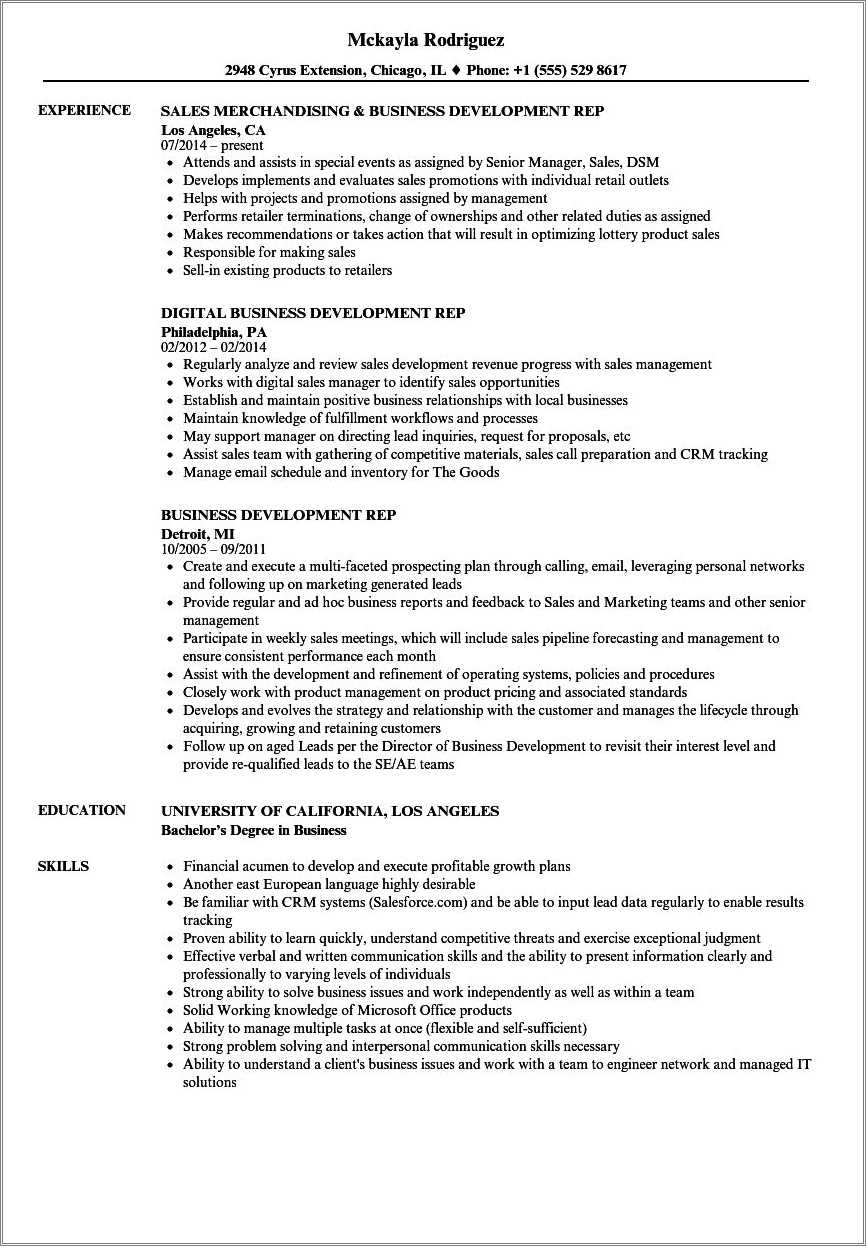 Sales Development Representative Resume Sample Resume Example Gallery sales-development-representative-resume-sample-resume-example-gallery