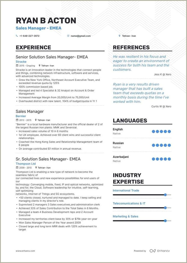 examples-of-sales-resume-summary-resume-example-gallery