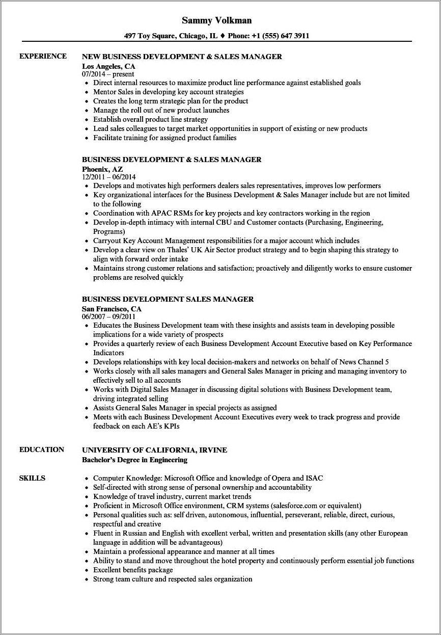 Sales Manager Resume Job Summary Resume Example Gallery