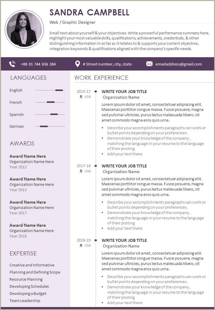 Sample Career Summary Statements Resume Resume Example Gallery
