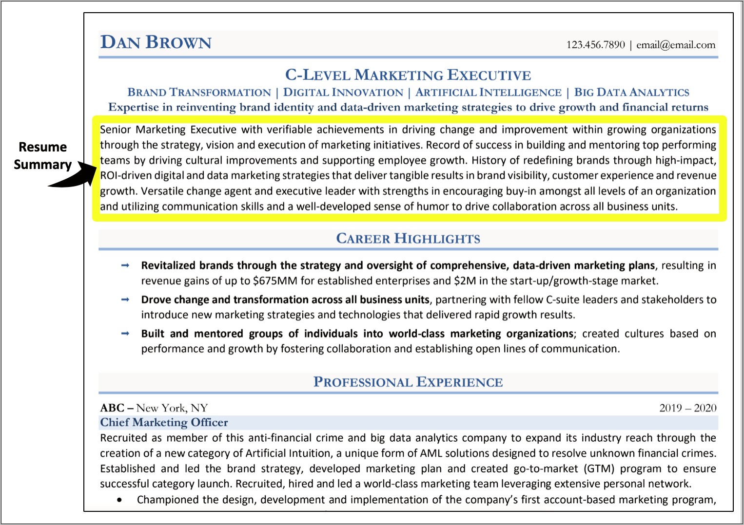 professional-summary-sample-in-resume-resume-example-gallery
