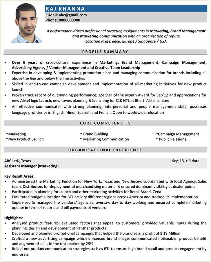 sample-sales-executive-resume-india-resume-example-gallery