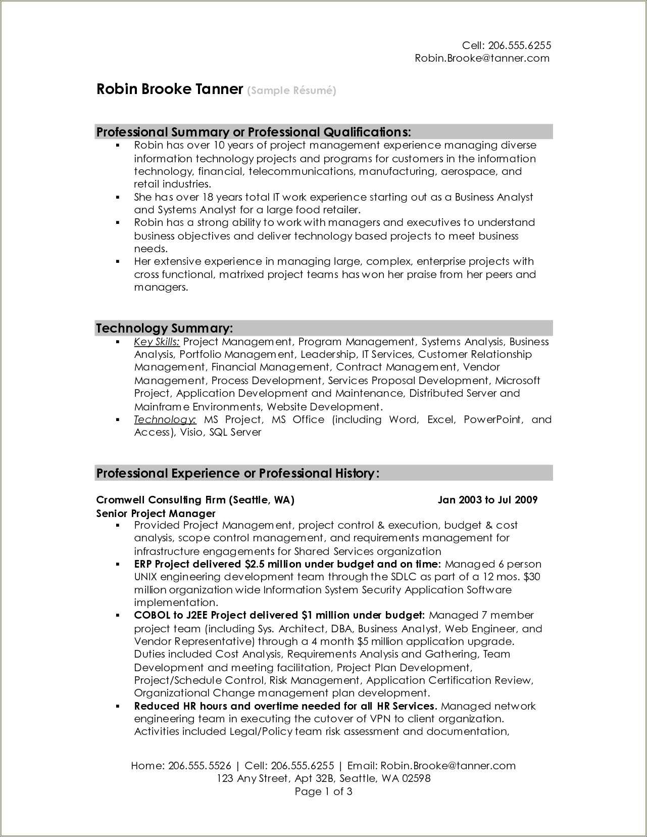 Samples Of Professional Summary Resume Resume Example Gallery