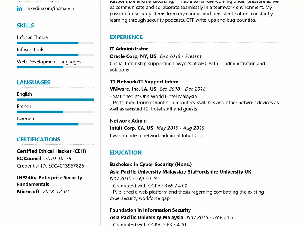 It Security Professional Job Description Resume Resume Example Gallery it-security-professional-job-description-resume-resume-example-gallery