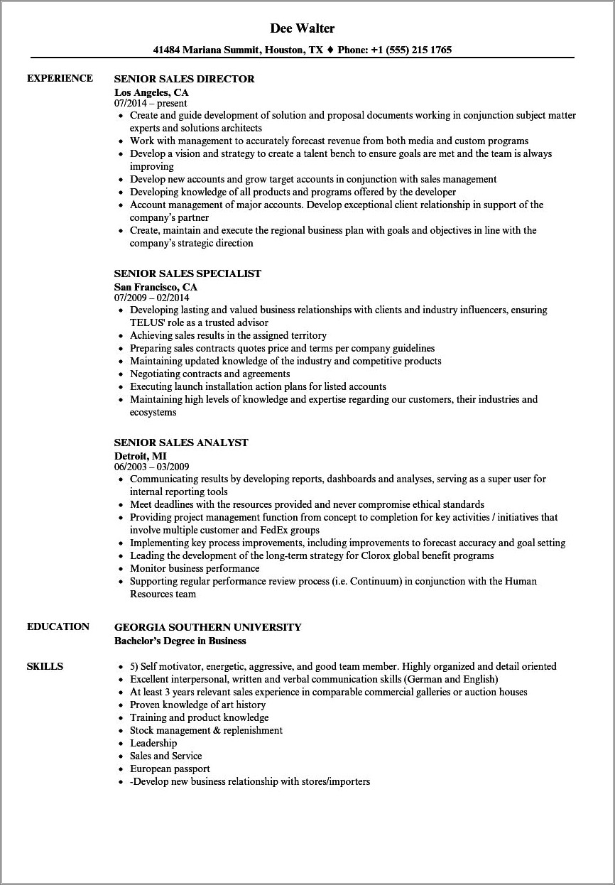 Senior Level Sales Resume Examples Resume Example Gallery senior-level-sales-resume-examples-resume-example-gallery