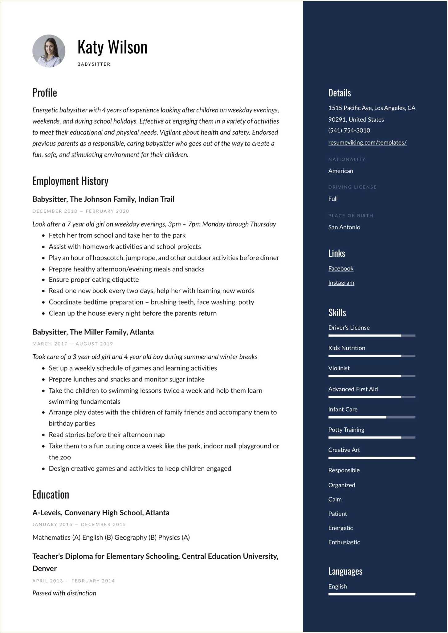 Short Summary For Resume Examples Resume Example Gallery