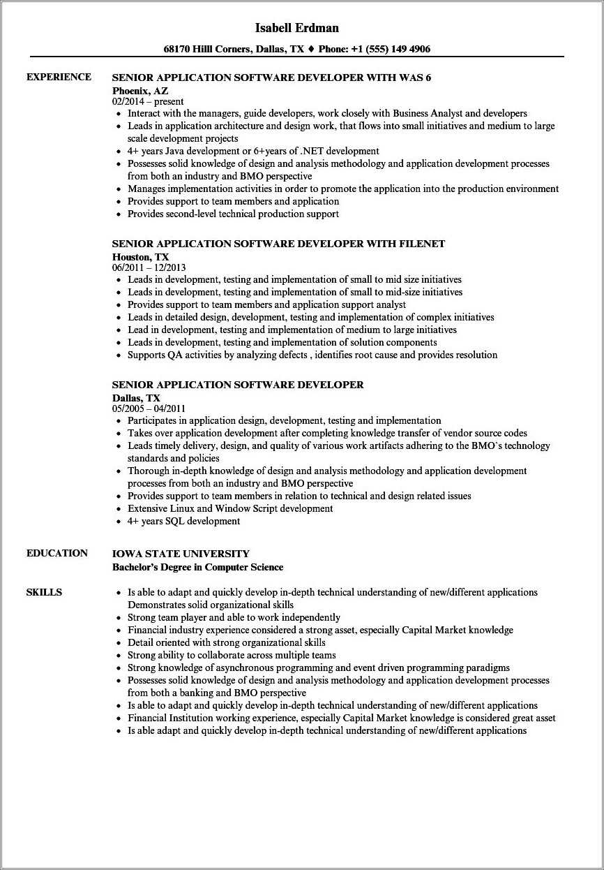 Software Developer Resume Job Objectives Resume Example Gallery software-developer-resume-job-objectives-resume-example-gallery
