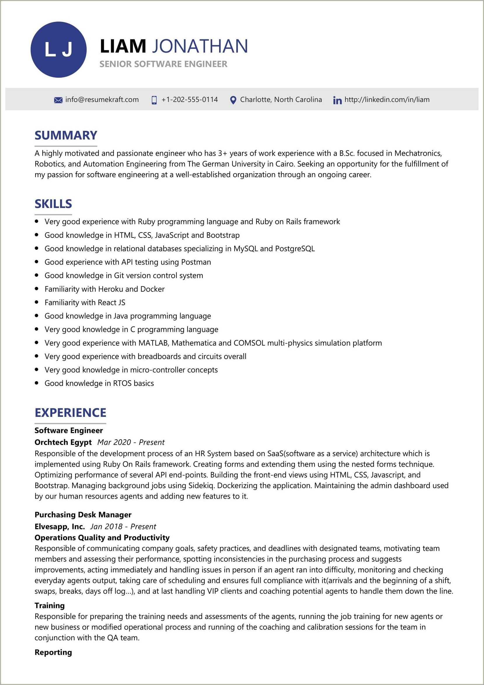 software-developer-resume-profile-examples-resume-example-gallery