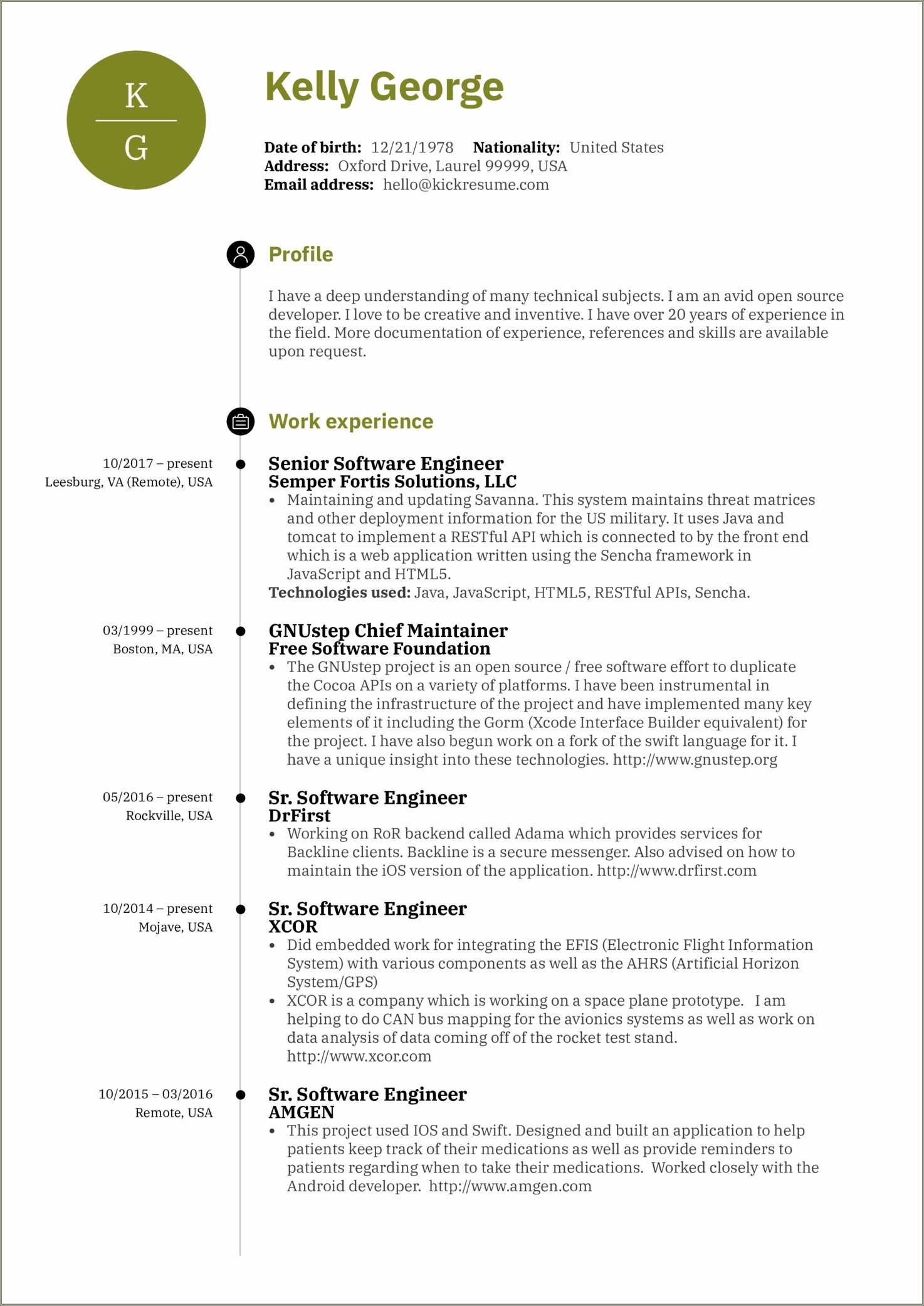 Software Developer Resume Summary Sample Resume Example Gallery