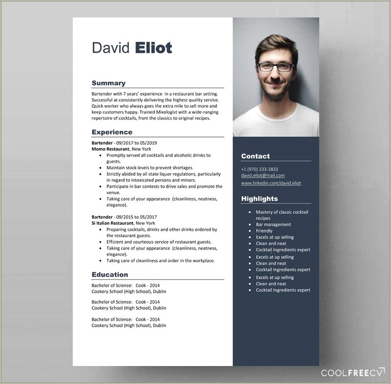 free-software-developer-resume-format-resume-example-gallery
