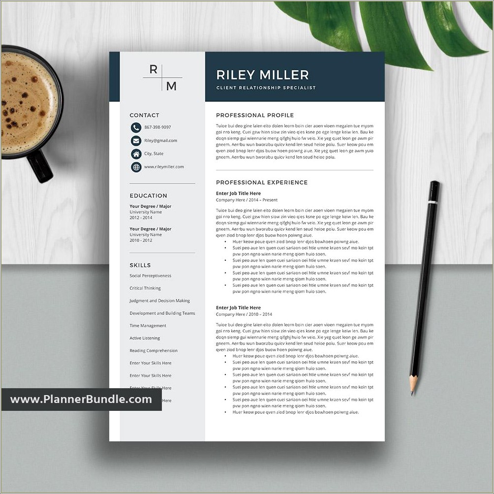 The Best Word Resume Template Resume Example Gallery
