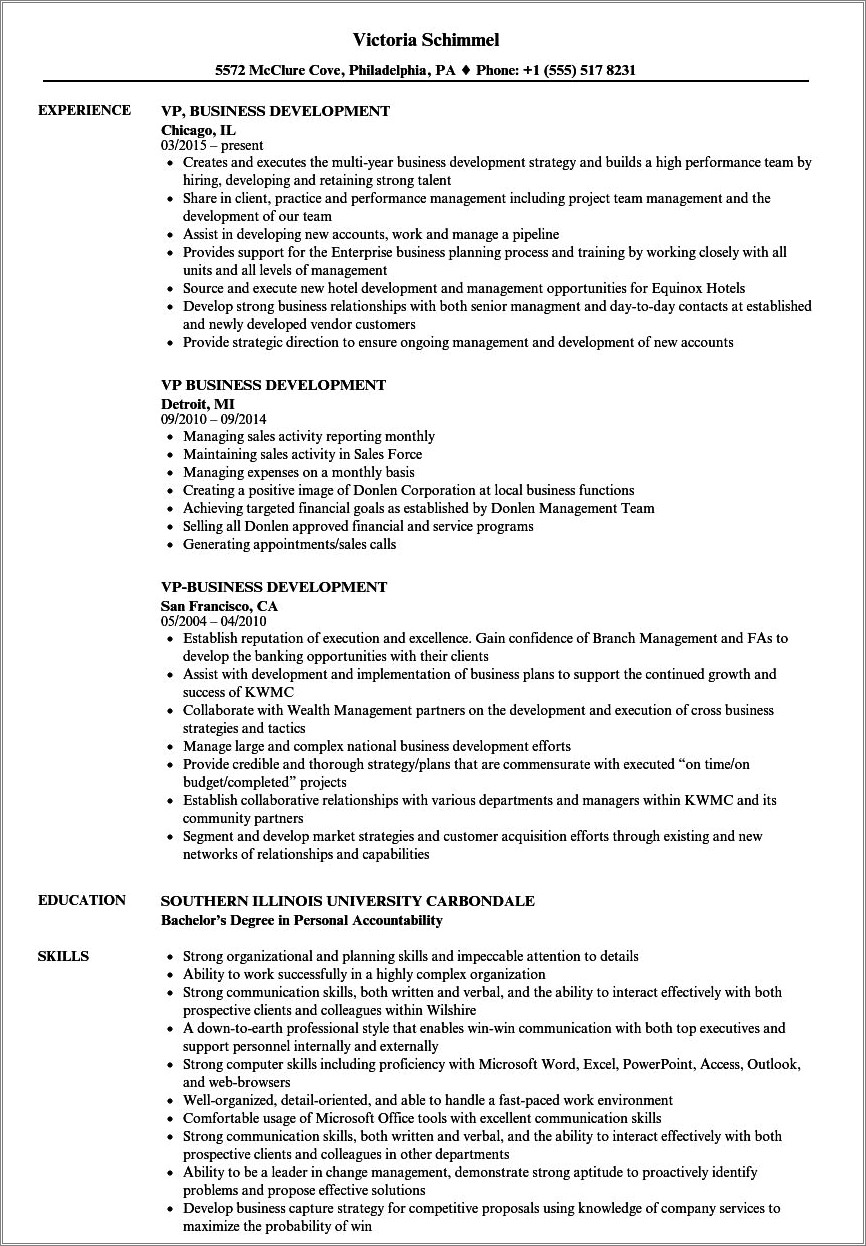 sample-of-business-development-resume-resume-example-gallery