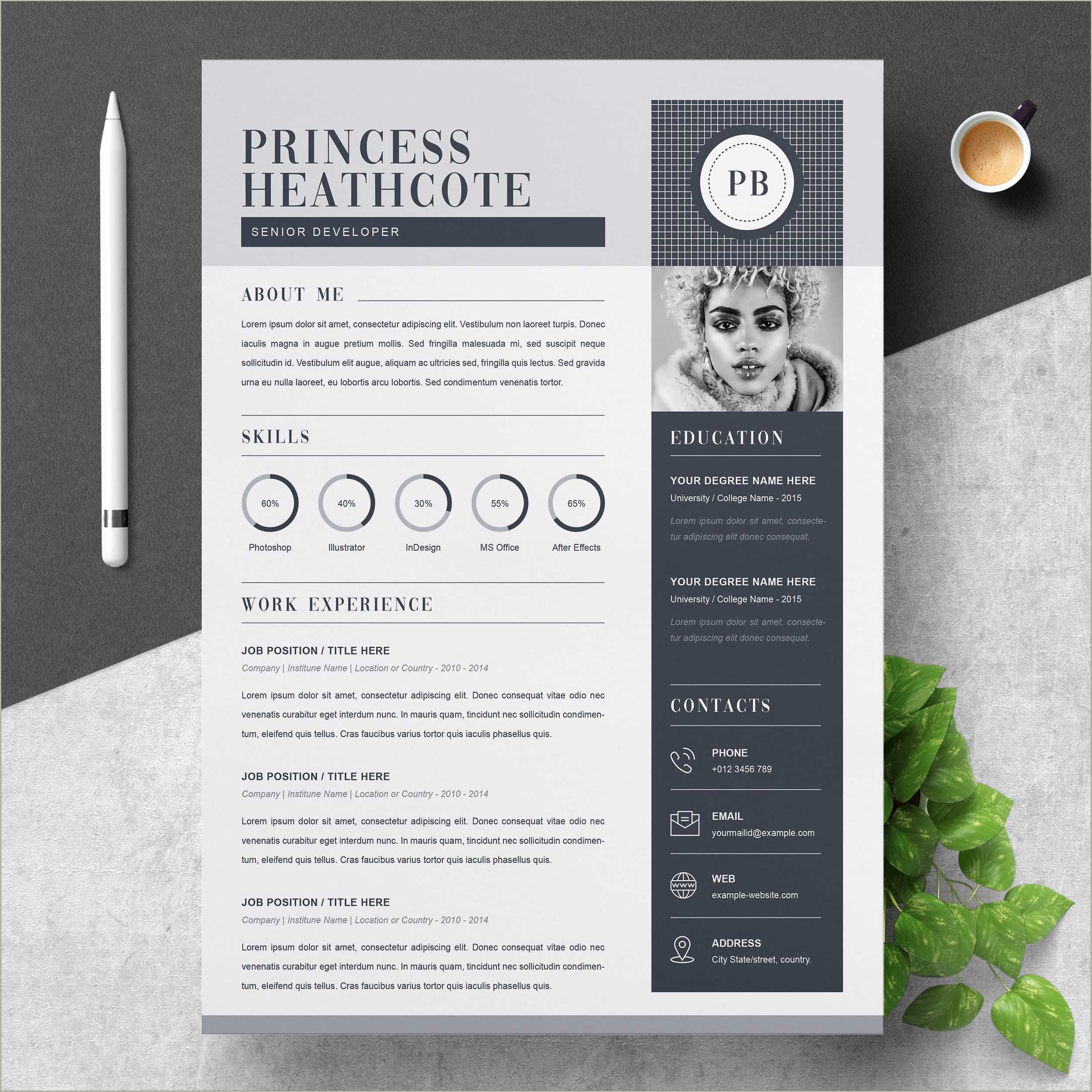 Web Developer Resume Free Download Resume Example Gallery