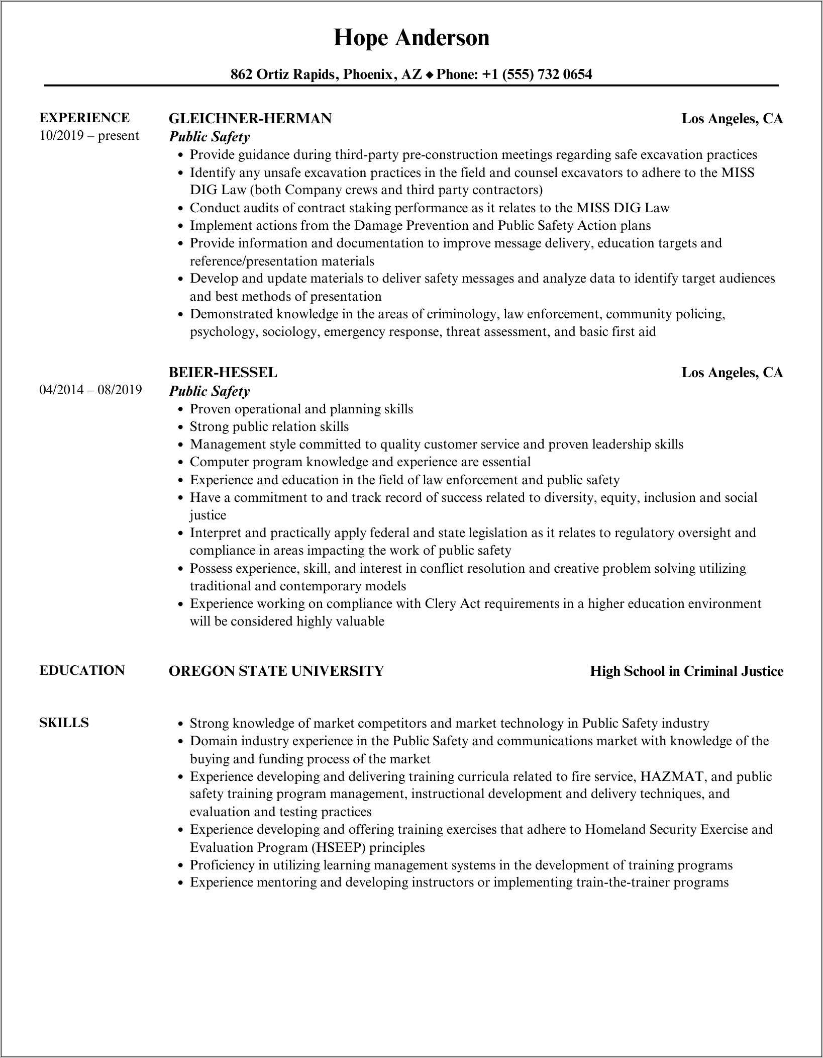 Resume Help Personal Summary Examples Public Safety Resume Example resume-help-personal-summary-examples-public-safety-resume-example