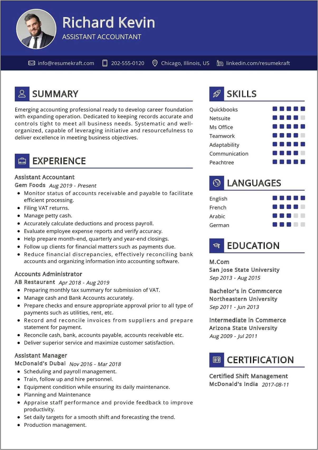 Sample Accountant Resume Format In India - Resume Example Gallery